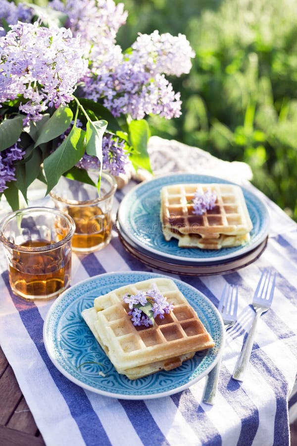 Breakfast in the garden stock image. Image of lunch - 237390561