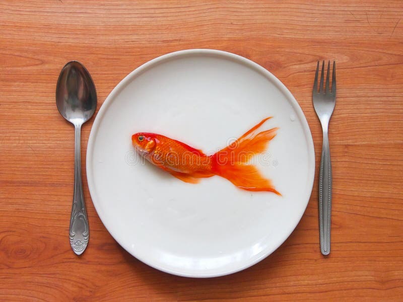 Goldfish on a plate stock image. Image of silverware, fork - 3533159
