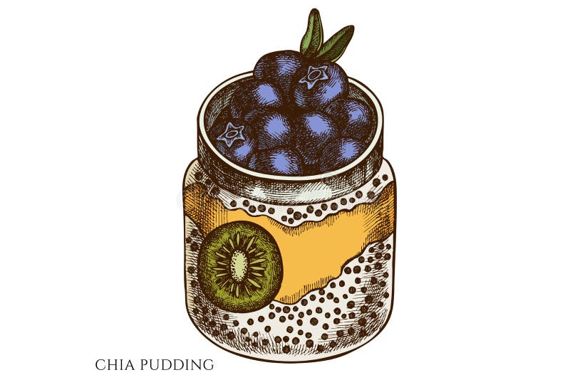 Breakfast Hand Drawn Vector Illustrations Collection. Colored Chia ...