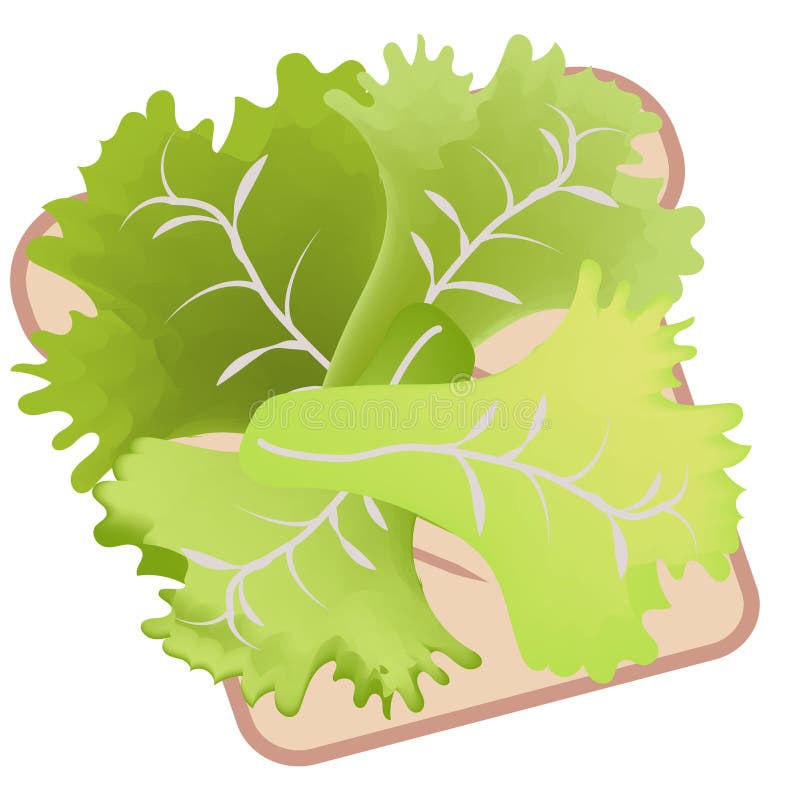 Breakfast, salad and bread stock vector. Illustration of line - 285783412