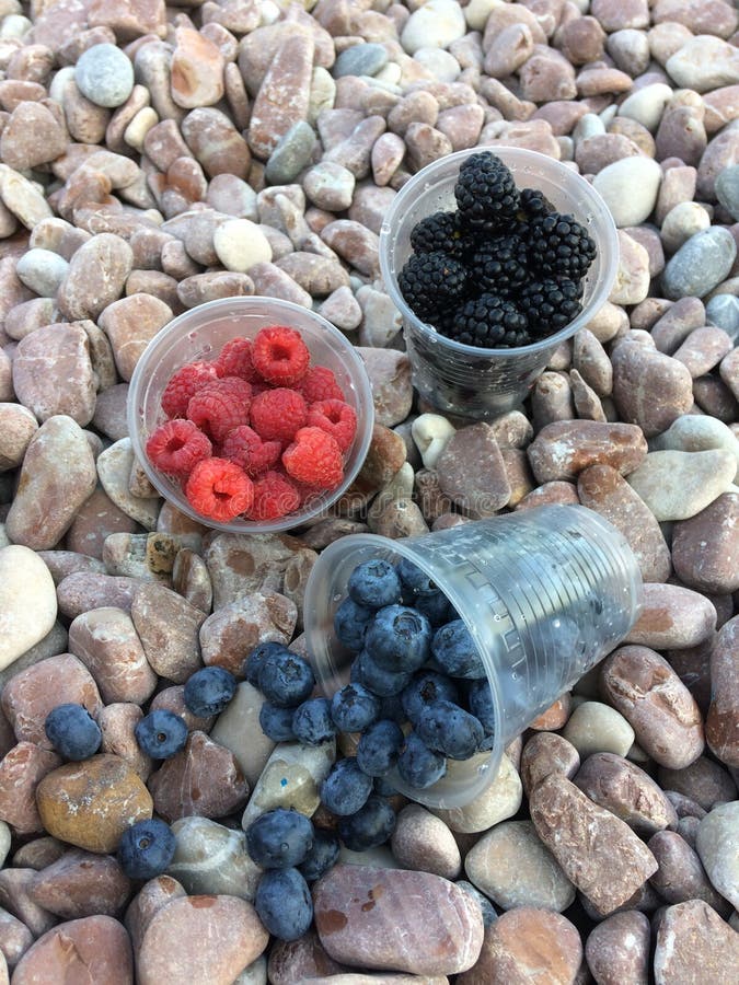 Breakfast in the Nature. Beach. Pebble Stock Image - Image of beach ...