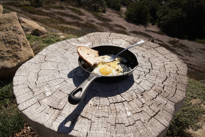 Breakfast Outside on a Sunny Day. Fried Eggs in a Pan Stump Stock Image ...