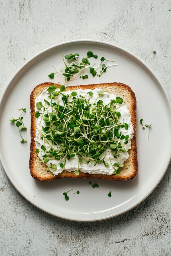 Breakfast Plate with Bread and Sprouts Stock Photo - Image of sprouts ...