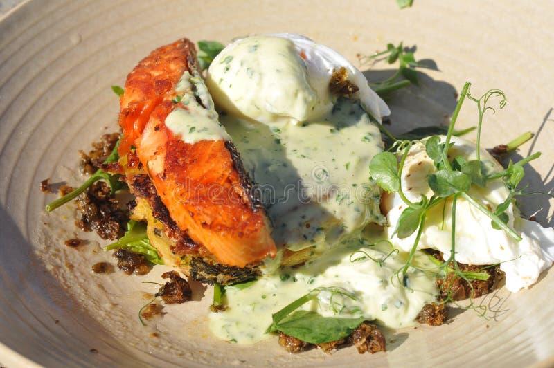 Breakfast stock photo. Image of pouched, meal, sunshine - 60654344