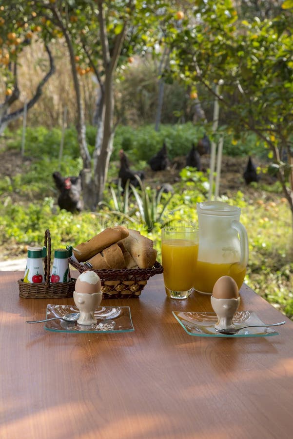Breakfast setup in a farm stock image. Image of basket - 84608465