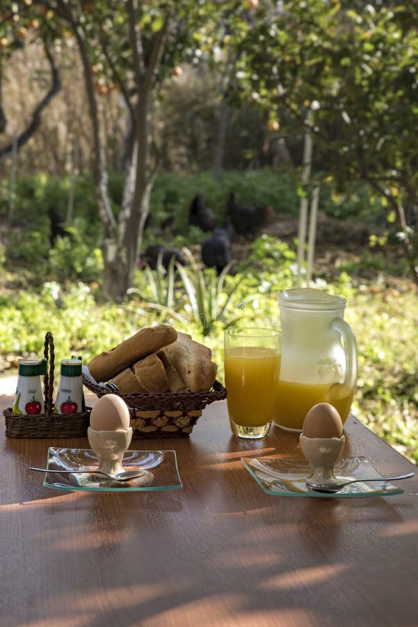 Breakfast setup in a farm stock photo. Image of breakfast - 84612760