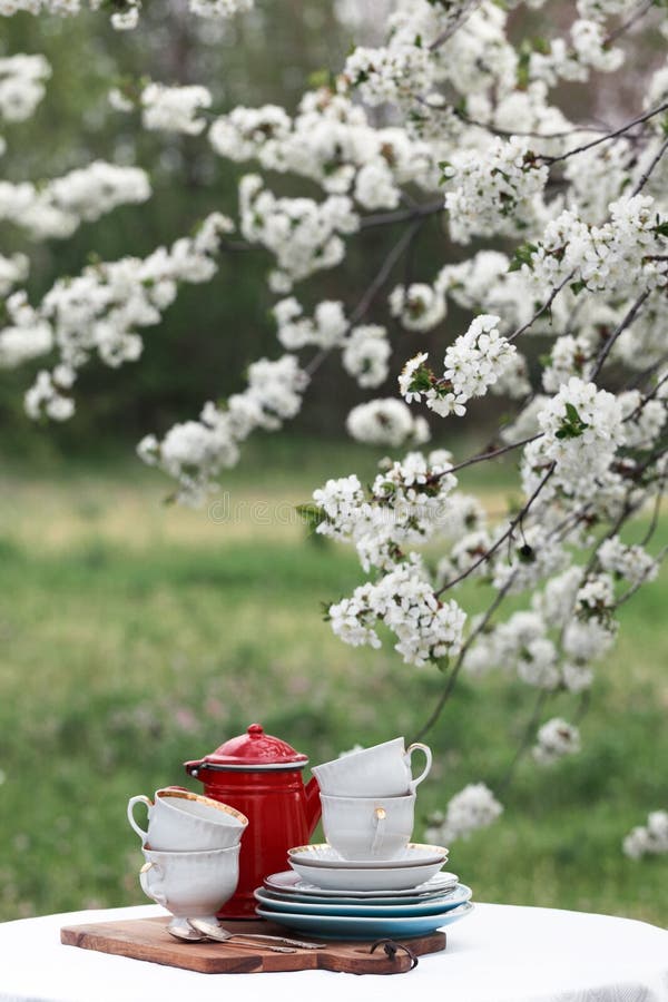 Spring stock photo. Image of spring, march, beautiful - 65466042