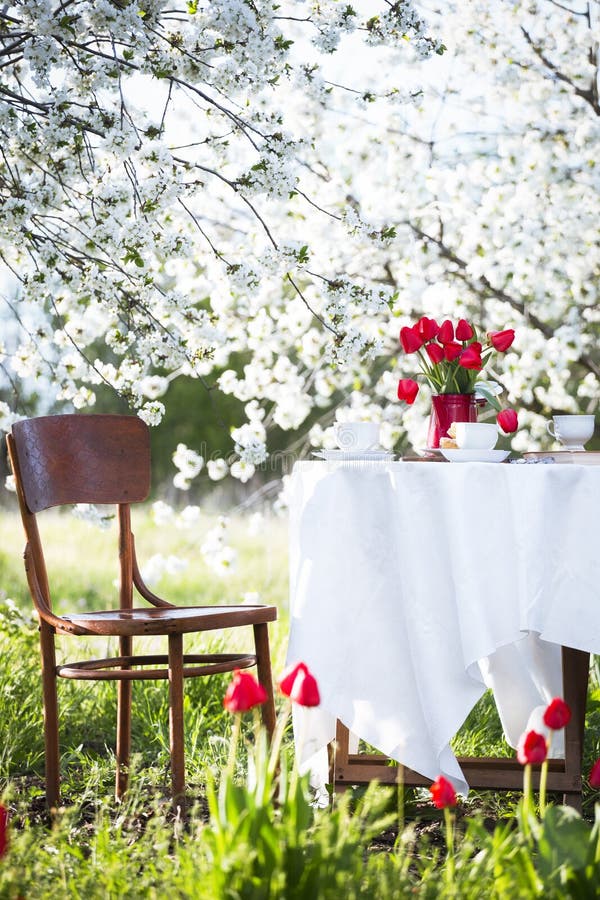 Breakfast in the Spring Garden Stock Image - Image of flower, life ...