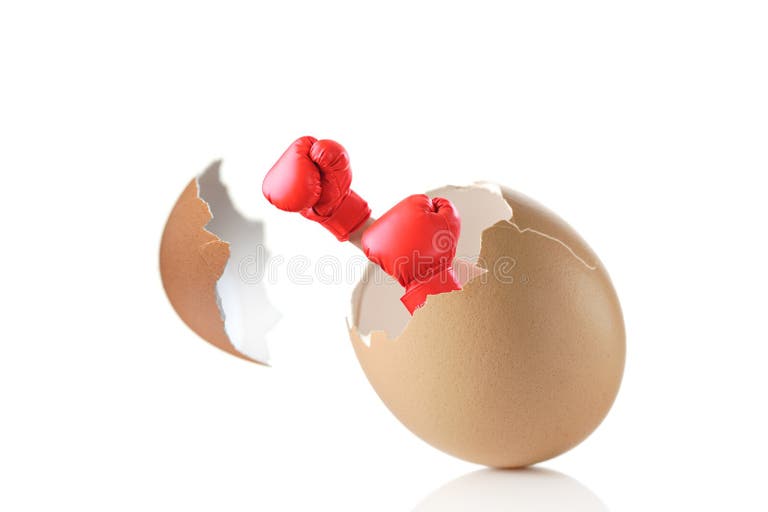 Breaking free stock image. Image of beginning, hatching - 4279041