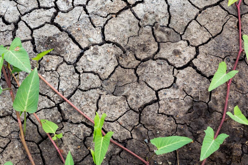 Breaking land in summer stock photo. Image of soil, field - 219403118
