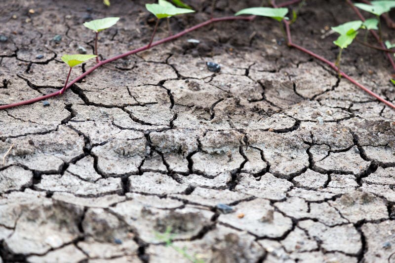 Breaking land stock image. Image of break, breaking, plants - 78562925