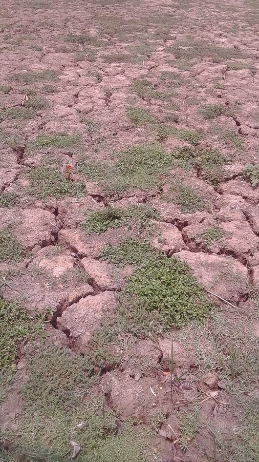Breaking land in summer stock photo. Image of soil, field - 219403118