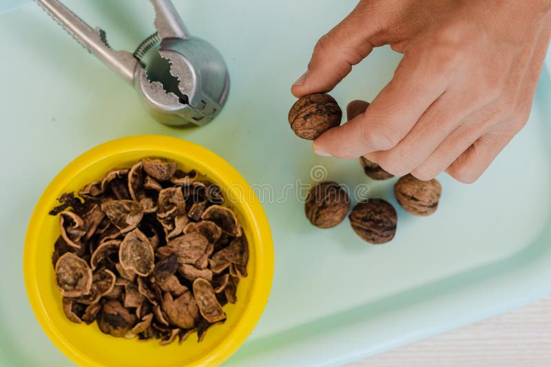 Breaking nuts process stock photo. Image of indoor, equipment - 273525932