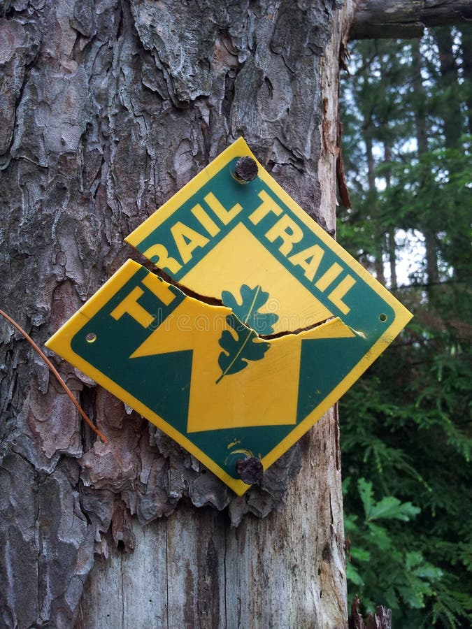 Breaking Trail stock image. Image of adventure, walking - 32345715