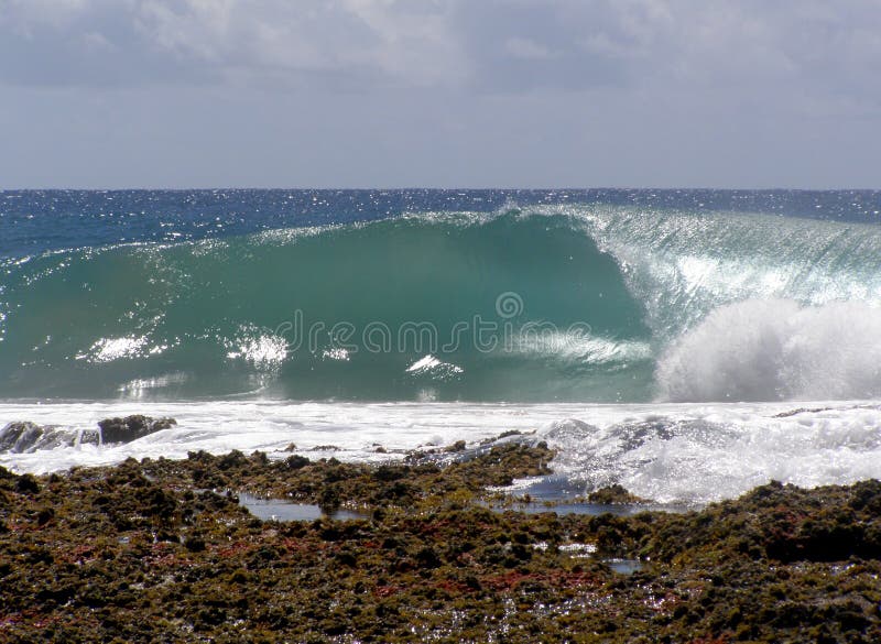 Breaking wave stock image. Image of breaking, wave, foam - 10998159
