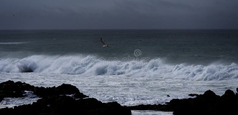 Wind blowing hard stock photo. Image of hawaii, wind - 46896162