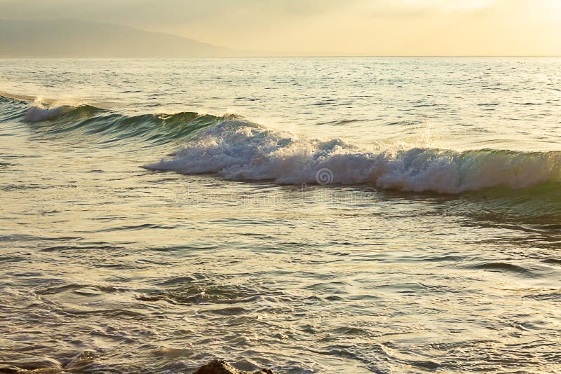 Breaking Wave with Backlit Transparent Color and Foam Stock Photo ...