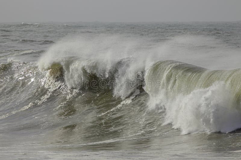 Breaking Wave with Wind Spray Stock Image - Image of spray, coastal ...