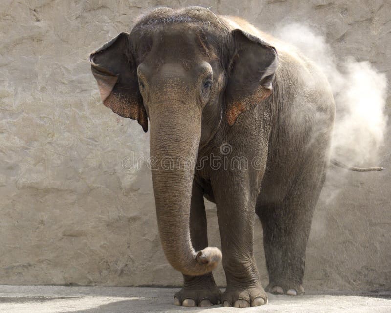 Breaking wind stock photo. Image of breaking, cloud, female - 4979864