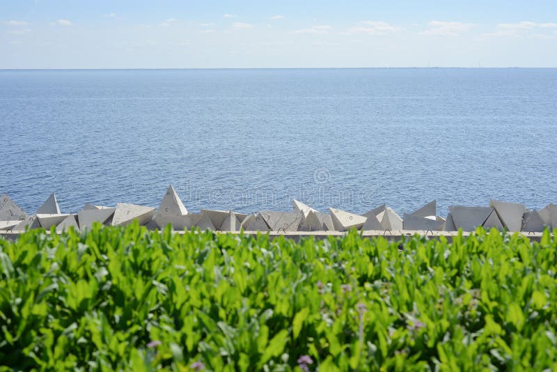 Breakwater Concrete Tetrapods, Wave Protection. Stock Image - Image of ...