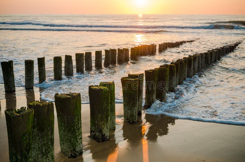 Breakwaters on the Beach at Sunset in Domburg Holland Stock Image ...