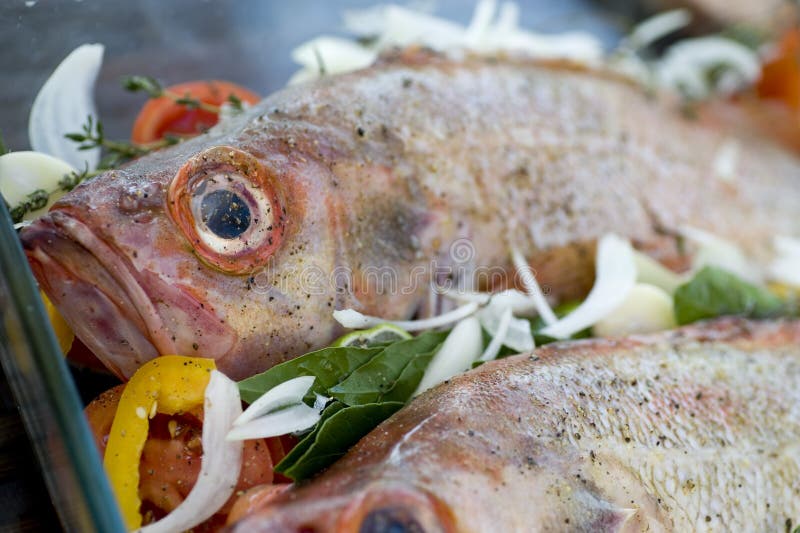 Bream fish stock image. Image of mediterranean, lunch - 75741997