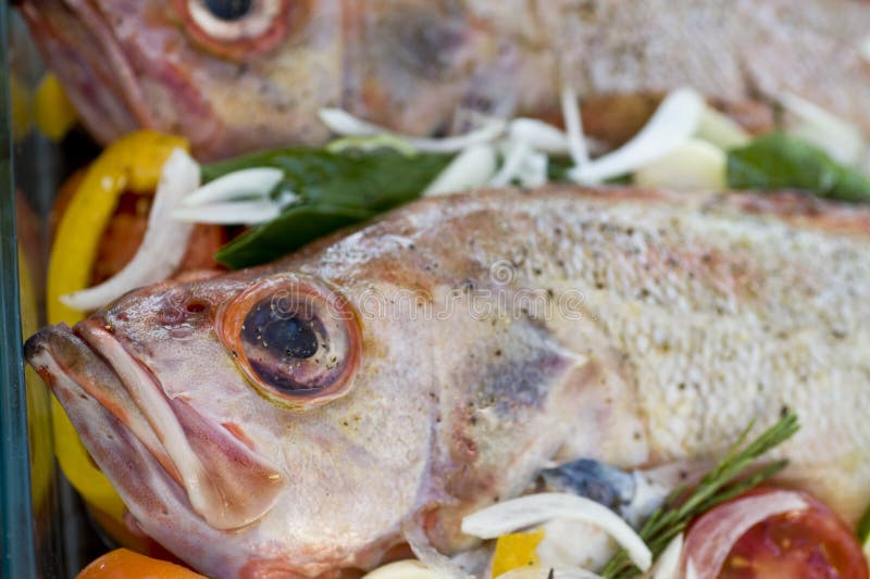 Bream fish stock photo. Image of vegetables, recipe, lunch - 75741998