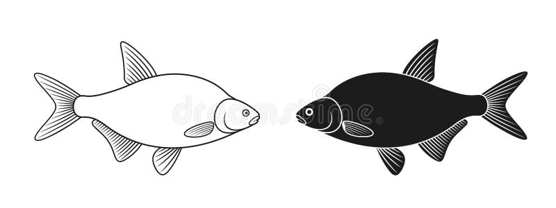 Bream Outline Stock Illustrations – 248 Bream Outline Stock ...