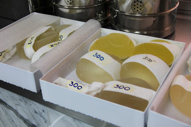 Breast Implants. Silicone Prosthesis Stock Image - Image of silicon ...