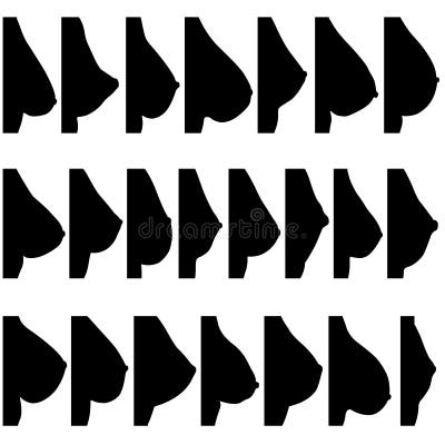 Breasts stock vector. Illustration of female, isolated - 49554112