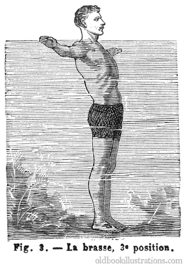 Breaststroke (3) Picture. Image: 92143779