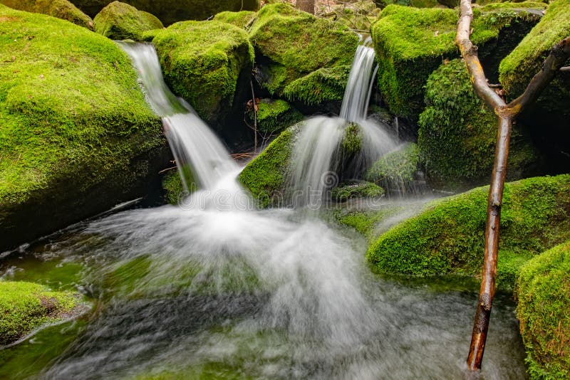 Breathing of Rain Forest, Waterfall on Stream Stock Image - Image of ...