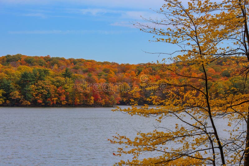 Breathtaking Autumn Scene: a Tranquil Lake Surrounded by Trees Ablaze ...