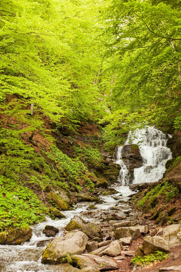 Breathtaking Clean Waterfall Stock Image - Image of green, landscape ...