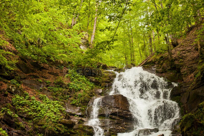 Breathtaking Clean Waterfall Stock Photo - Image of green, rock: 82955168