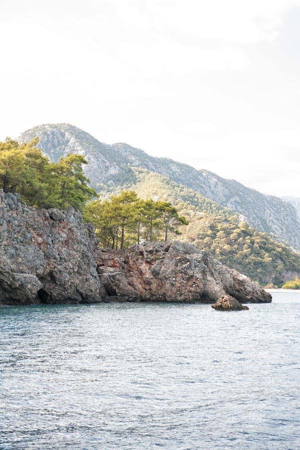 Breathtaking Coastal Landscape with Turquoise Waters and Pine-covered ...