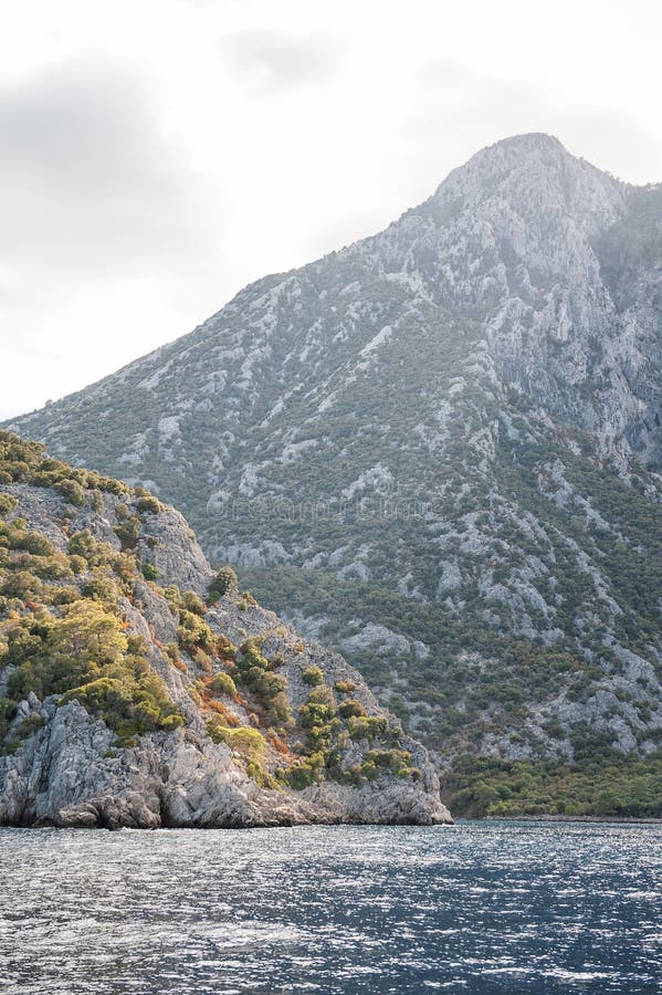 Breathtaking Coastal Landscape with Turquoise Waters and Pine-covered ...