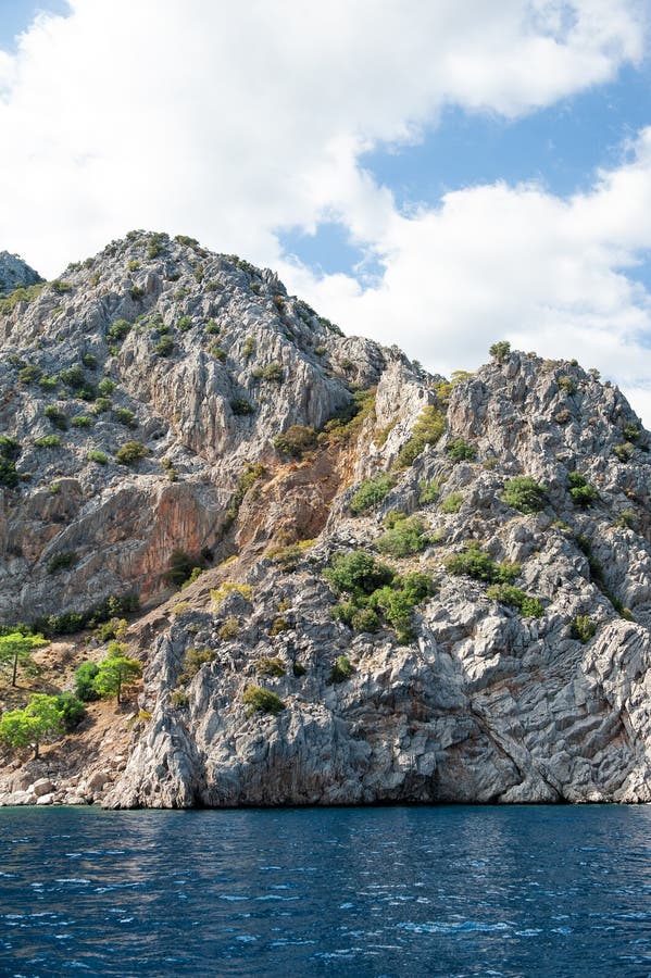 Breathtaking Coastal Landscape with Turquoise Waters and Pine-covered ...