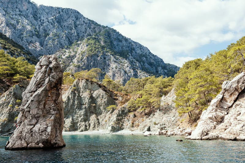 Breathtaking Coastal Landscape with Turquoise Waters and Pine-covered ...