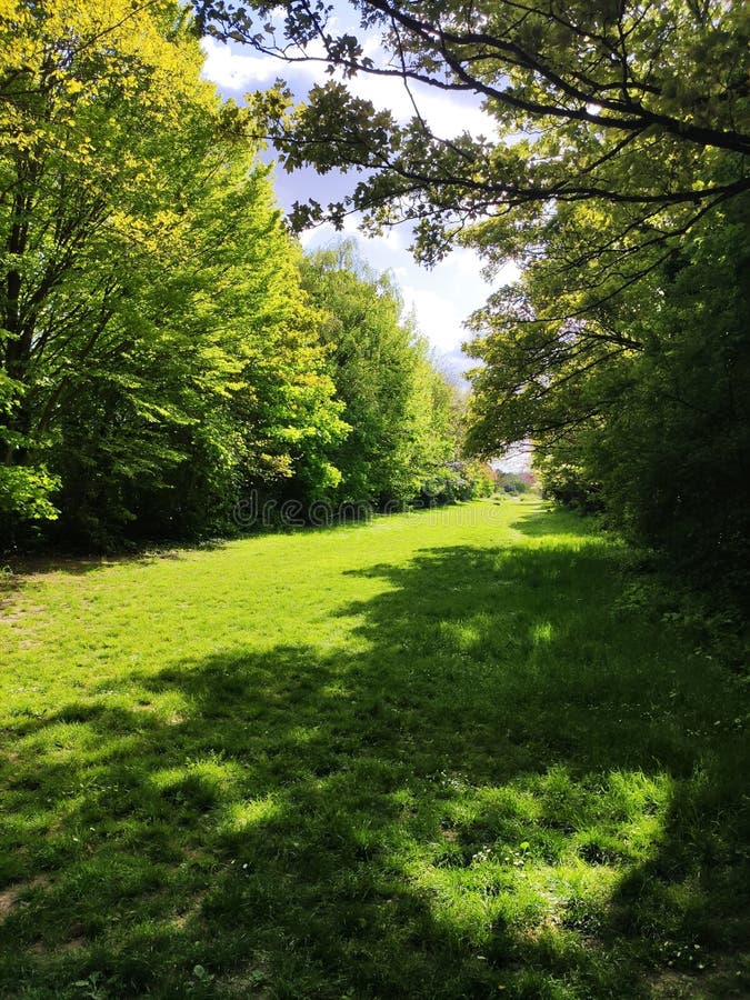 Sunlit Serenity – a Radiant Green Landscape with Playful Shadows Stock ...