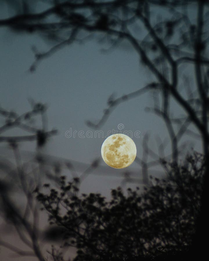 Breathtaking Full Moon Gleaming in the Sky - Great for Wallpapers Stock ...