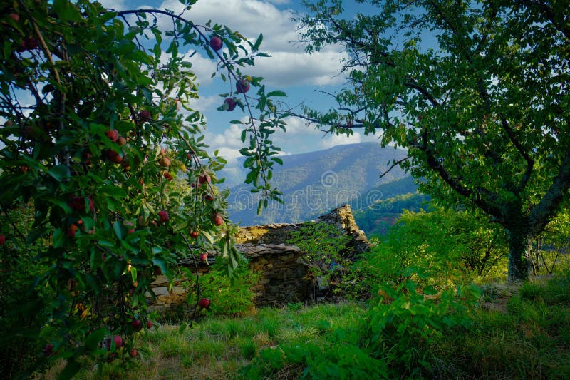 Majestic Ardeche Gorge at Sunrise Stock Photo - Image of natural ...