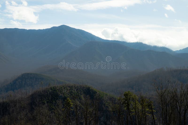 Breathtaking Image of a Mountain Range is Blanketed with Lush Green ...
