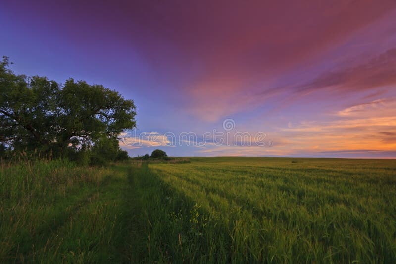 Breathtaking Red Sunset and Twilight Over Field Stock Photo - Image of ...