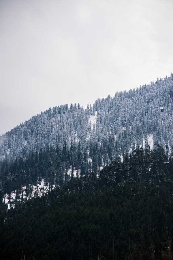 Breathtaking Shot of a Snowy Hillside of a Mountain Fully Covered with ...