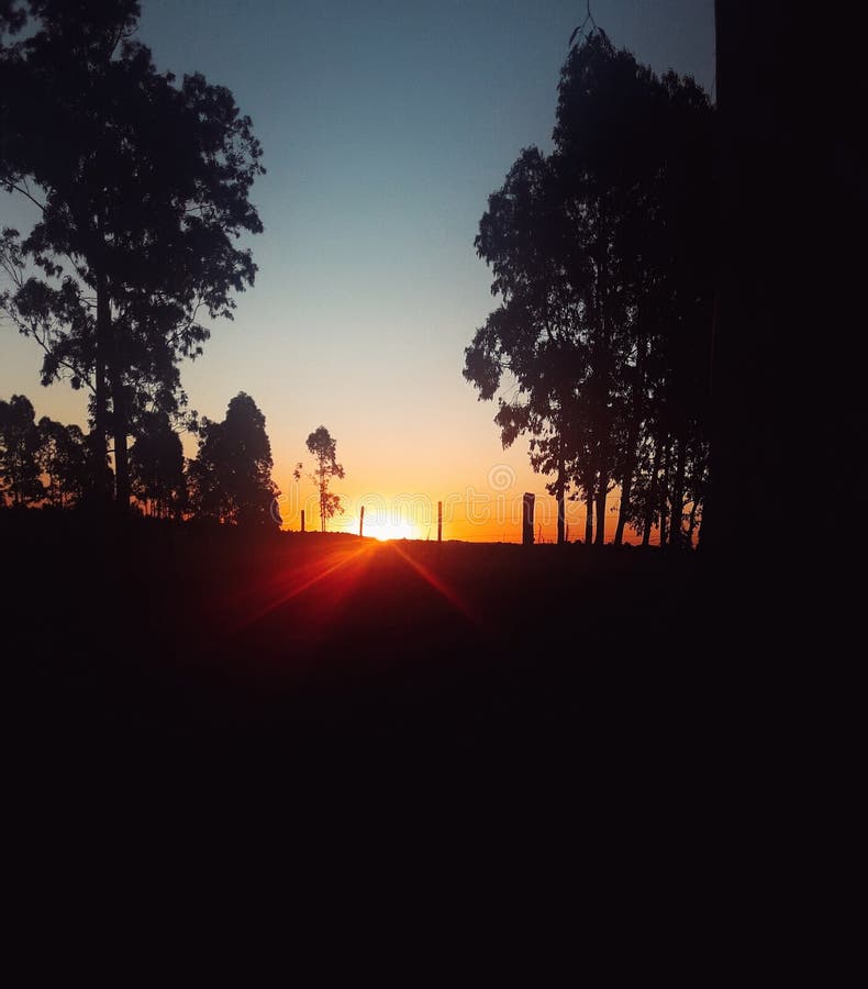 Breathtaking Sunset Amidst the Trees on a Day Trip Stock Image - Image ...