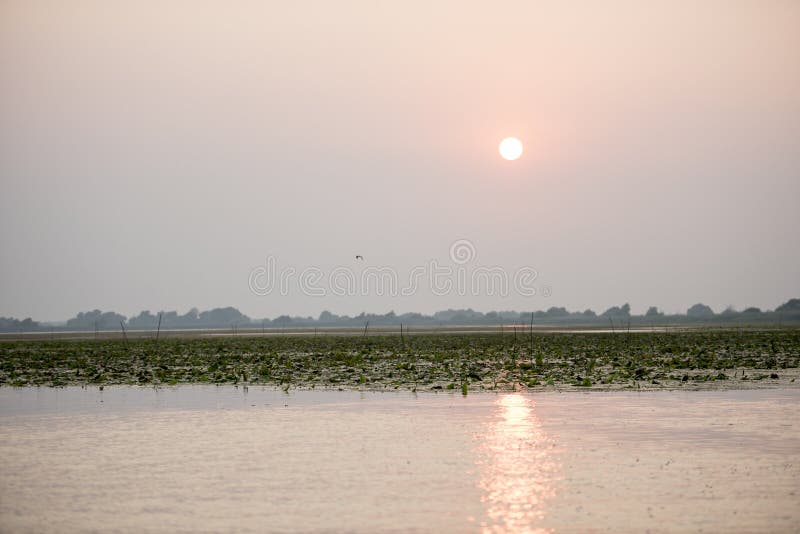 Breathtaking Sunset in Danube Delta, Romania, in a Summer Day Stock ...