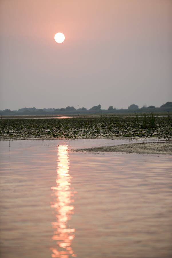 Breathtaking Sunset in Danube Delta, Romania, in a Summer Day Stock ...