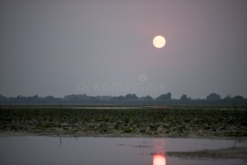 Breathtaking Sunset in Danube Delta, Romania, in a Summer Day Stock ...