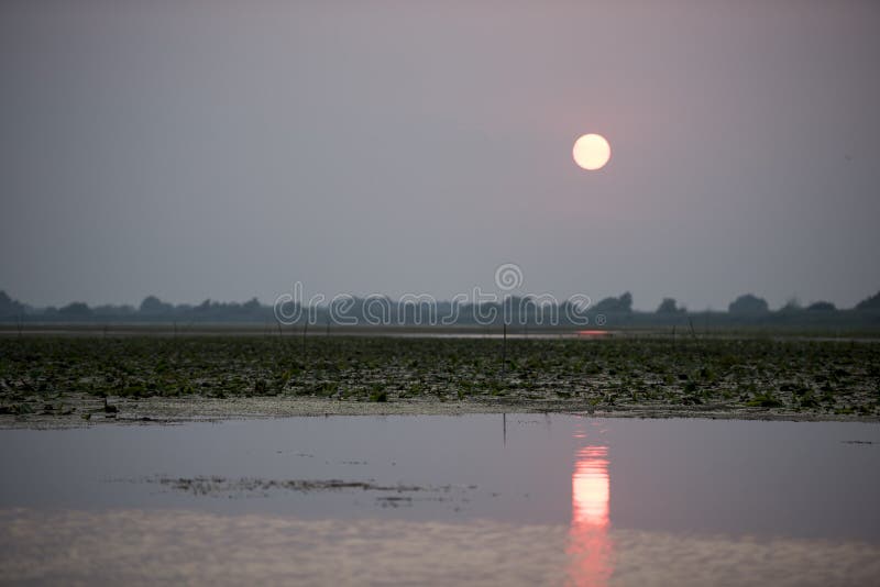 Breathtaking Sunset in Danube Delta, Romania, in a Summer Day Stock ...